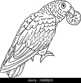 African Grey Parrot Bird Coloring Page for Kids Stock Vector Image ...