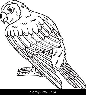 Conure Bird Coloring Page for Kids Stock Vector Image & Art - Alamy