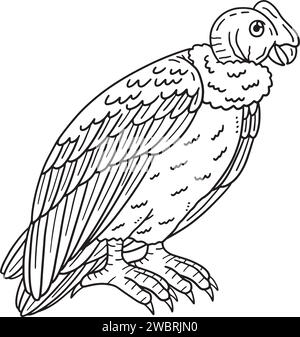Andean Condor Bird Coloring Page Illustration Stock Vector Image & Art ...
