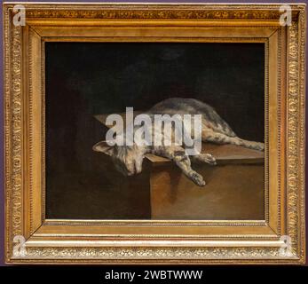 Paris, France - 01 06 2024: Louvre Museum. Death of Marat Painted by ...