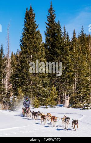 Male musher with lone female passenger & dog sled team traveling near ...
