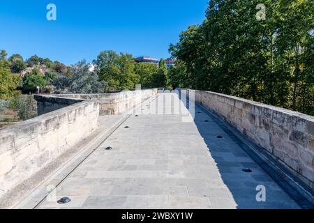 Stone footbridge from above with neatly worked stone and a stone ...