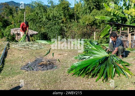 Ollo Nocte men working with palm leaves, Lazu VIllage, Arunachal ...