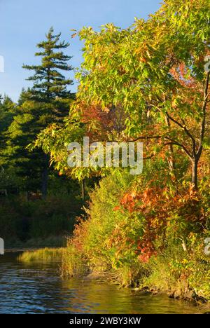 North Lake, Catskill Forest Preserve, New York Stock Photo - Alamy