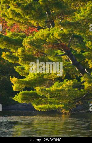 North Lake, Catskill Forest Preserve, New York Stock Photo - Alamy
