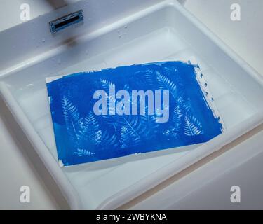 Washing exposed Cyanotype paper in water Stock Photo - Alamy