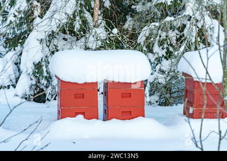 Some red apiary or bee hive is covered and snow as it sits outside ...