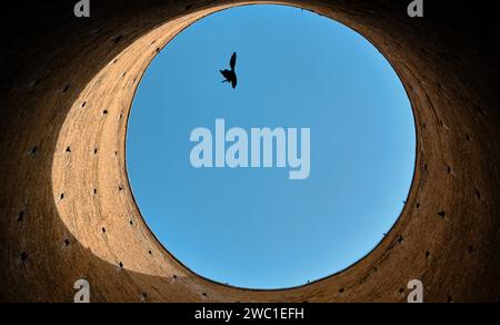 Inside the Toghrol Tower, looking sky from the Toghrol (Tughrul) Tower ...