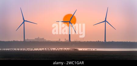 Offshore wind farms are great for enjoying the scenery and watching the ...