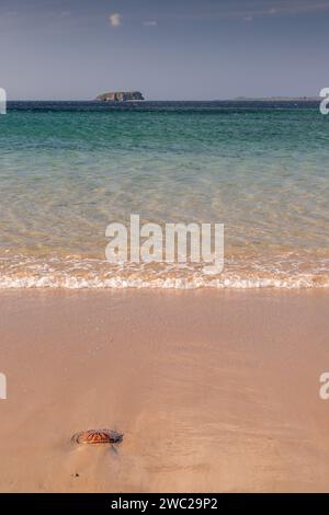 Pollan Strand, County Donegal, Ireland Stock Photo - Alamy
