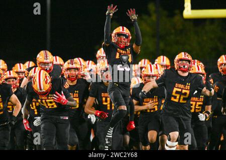 The Mission Viejo Diablos enter the field before a CIF State Football ...