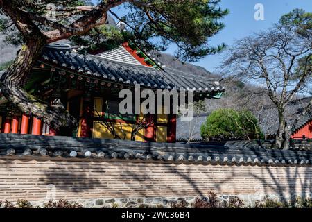 Buildings behind mud brick wall at Buddhist temple Stock Photo - Alamy
