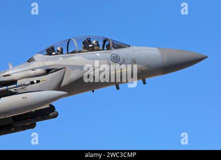 Ein Kampfflugzeug der Royal Saudi Air Force RSAF vom Typ McDonnell ...