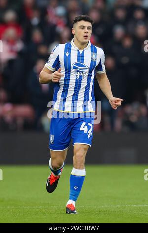 Bailey-Tye Cadamarteri #42 of Sheffield Wednesday scores to make it 1-1 ...