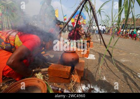 Chennai, India. 14th Jan, 2024. Bhogi Pandigai (festival) is celebrated ...