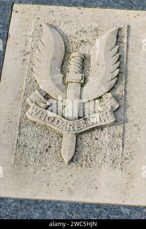 SAS Special Air Service winged dagger badge with Who Dares Wins Stock ...