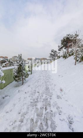 BAKU, AZERBAIJAN - JANUARY 31 2024: A park covered with snow in Baku in ...