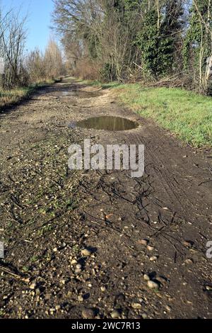 Dirt path with puddles bordered by trees Stock Photo - Alamy