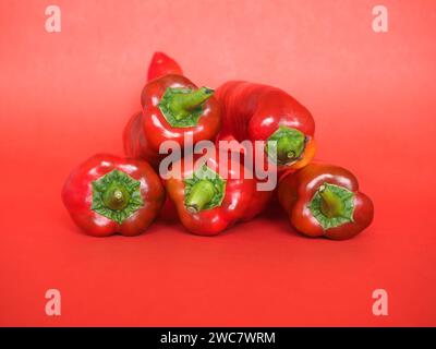 red peppers (scientific name Capsicum aka bell peppers) vegetables ...
