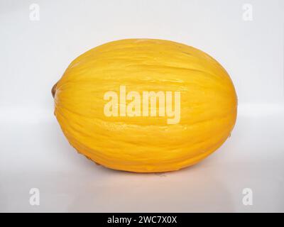 yellow Canary melon (scientific name C melo) vegetarian fruit food ...