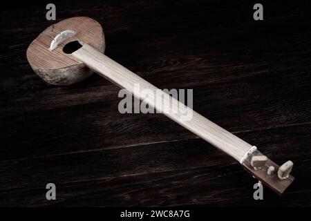 Turkish tambour. Long-necked folk string instrument of the lute family ...