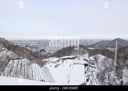 Sapporo, Hokkaido, Japan. 13th Jan, 2024. Nozomi Maruyama (JPN) Ski ...