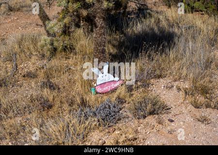 Tucson, AZ, USA - Nov 20, 2022: The Bunny Loop Trail Stock Photo - Alamy