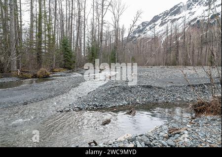 Resurrection River and Exit Glacier moraine just north of Seward ...