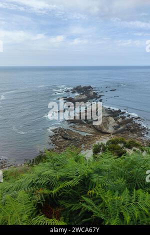 Rocky shore surrounded by the sea under the sunlight - perfect for ...