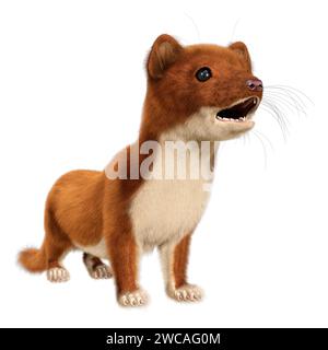 3D rendering of a brown weasel isolated on white background Stock Photo ...