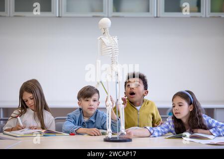 Excited children studying human skeleton in classroom at school Stock ...