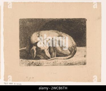 Sleeping Dog, Hendrik Jozef Franciscus van der Poorten, 1842 print ...