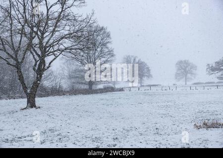 Landschaft im Schnee in Aachen am 15. Januar 2024. GERMANY - AACHEN ...