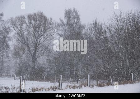 Landschaft im Schnee in Aachen am 15. Januar 2024. GERMANY - AACHEN ...
