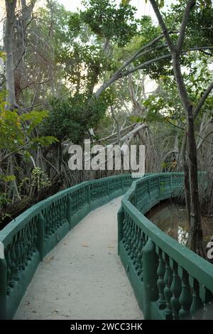 Curved bridge and green landscape at a water park, northern china Stock ...