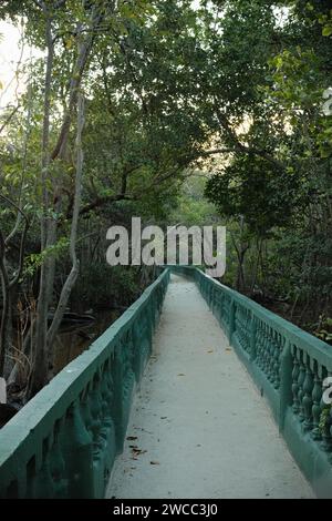 Curved bridge and green landscape at a water park, northern china Stock ...