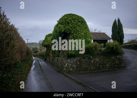Compton Martin; Somerset; UK Stock Photo - Alamy