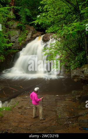 Hawk Falls Trail, Hickory Run State Park, Pennsylvania Stock Photo - Alamy