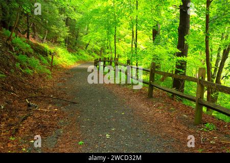 McDade National Recreation Trail, Delaware Water Gap National ...