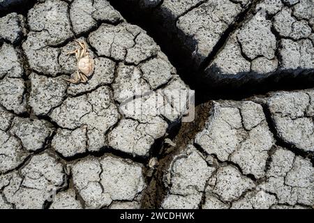 Cracked floor of dry river where sludge was. Representation of a period ...