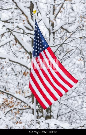 Wind-blasted snow clinging to hardwood trees after a winter storm in ...