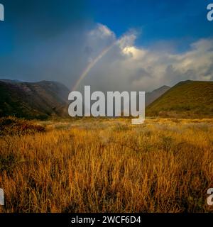 Double Rainbow, Maui, Hawaii Stock Photo - Alamy