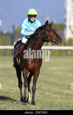 Kyoto, Japan. 14th Jan, 2024. Blow the Horn won the Nikkei Shinshun Hai ...