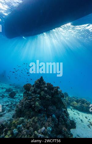 Boat floats above coral reef and schools of small fish in clear blue ...