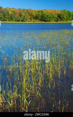 Mandy Lake, Rice Lake National Wildlife Refuge, Minnesota Stock Photo ...