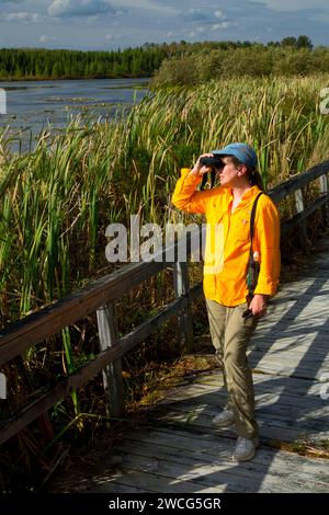 Birding on boardwalk, Wetlands Interpretive Boardwalk (Mickey Elverum ...