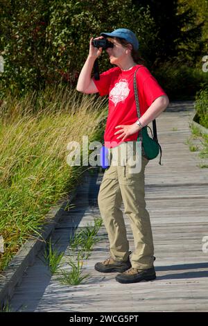Birding along boardwalk, Northern Great Lakes Visitor Center, Wisconsin ...