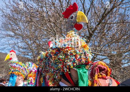 Galos de San Pedro: the traditional costume of the carnival of A ...