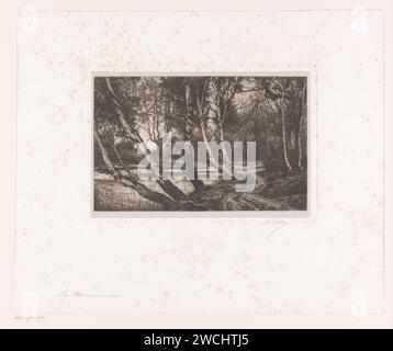 Landscape with birch along a shore, Alfred Elsen, 1860 - 1910 print ...
