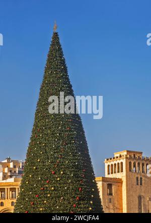 Fir-tree at Republic square in Yerevan. Armenia Stock Photo - Alamy